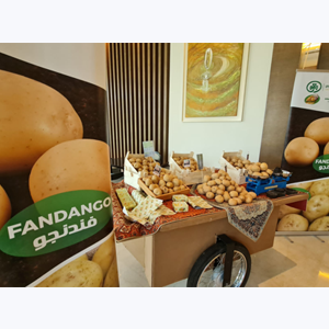 BlueField Agriculture Iraq's Potato Event in Erbil - Welcome to ...